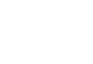 Electric Industrial Vehicles